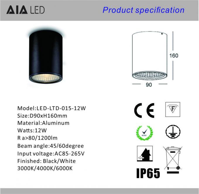 surface mounted downlight ip65 12W COB ip65 ceiling downlight&outdoor ...