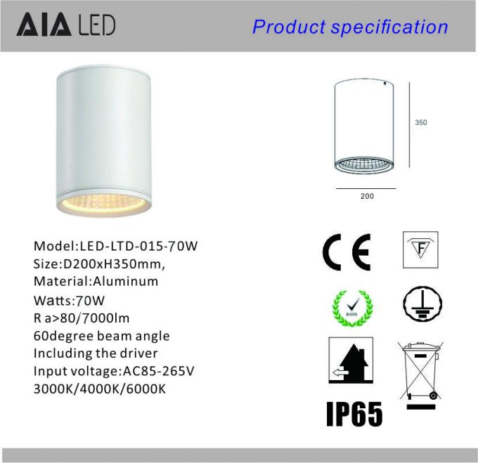 IP65 waterproof surface mounted DALI downlight 70W 0-10V dimmable ...