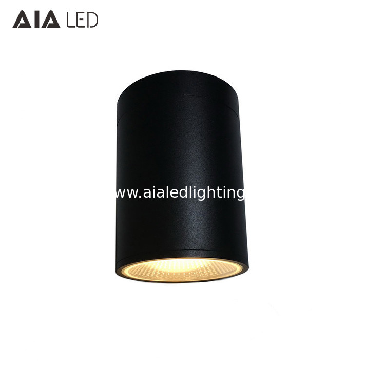 ip65 downlight modern cylinder ceiling mounted 15W ip65 led downlight ...