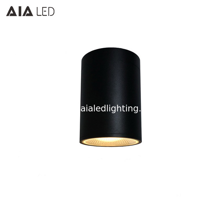 IP65 waterproof ceiling mounted 10W ceiling light COB LED downlight ...