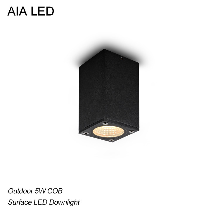 IP65 black Square 5W CreeCOB LED downlight&LED Ceiling light for office