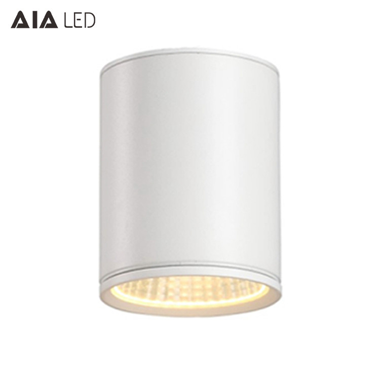 IP65 waterproof surface mounted DALI downlight 70W 0-10V dimmable ...